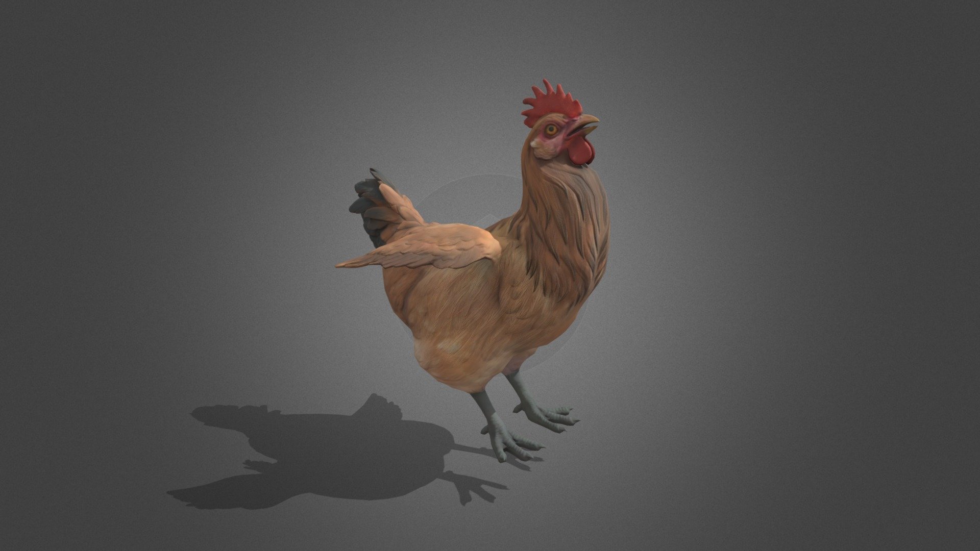 Chicken - Download Free 3D model by Alex (@alyax) [9ce732a] - Sketchfab
