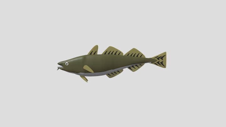 Codfish 3D models - Sketchfab