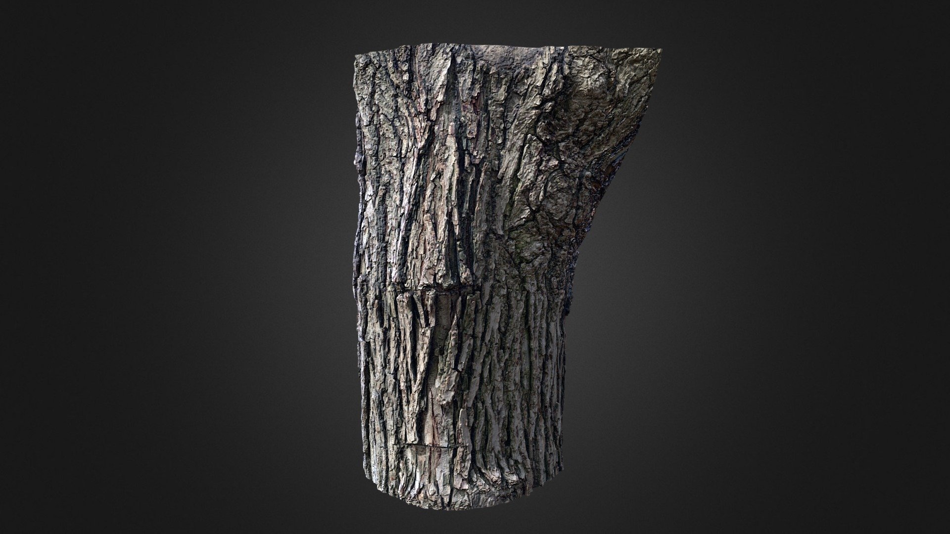 Tree Bark - Download Free 3D model by mabioca [9cf01d4] - Sketchfab