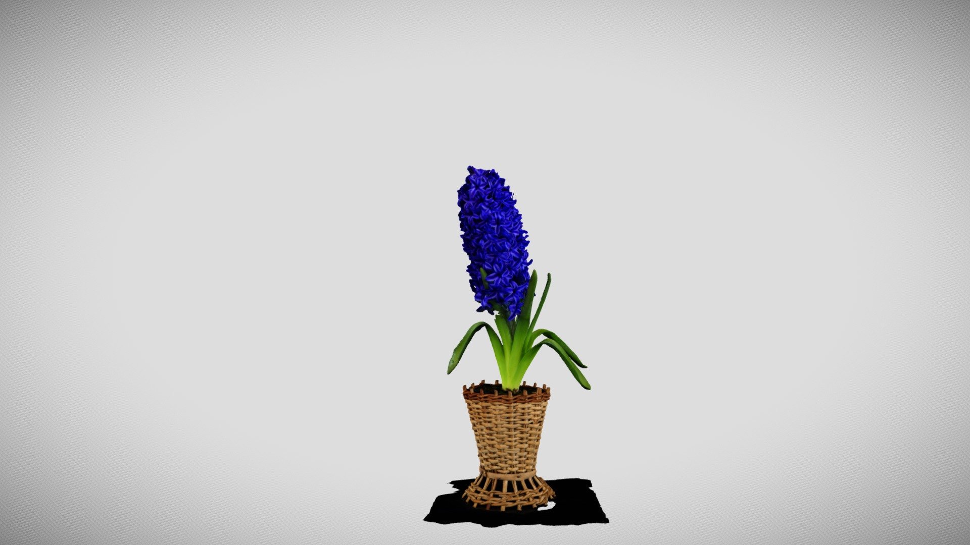 Jácint | Zambila | Hyacinth - 3D - 3D model by dextracapture [9cf9a5e ...