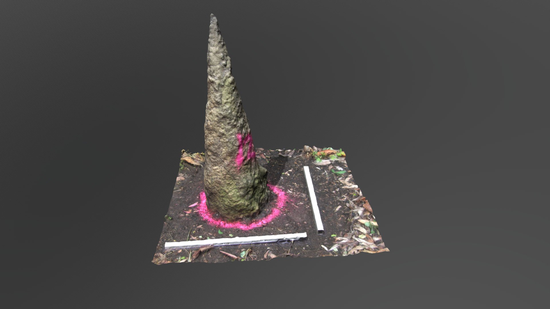 Termite mound Mn10-2016 - 3D model by pnauer [9d07e19] - Sketchfab