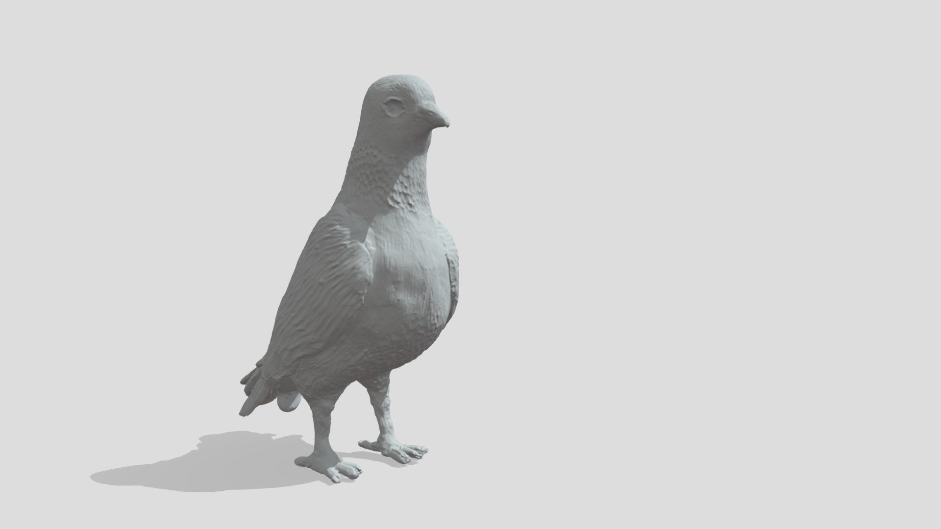 Pigeon - Level 3 Art & Design (2nd Year) - Download Free 3D model by ...
