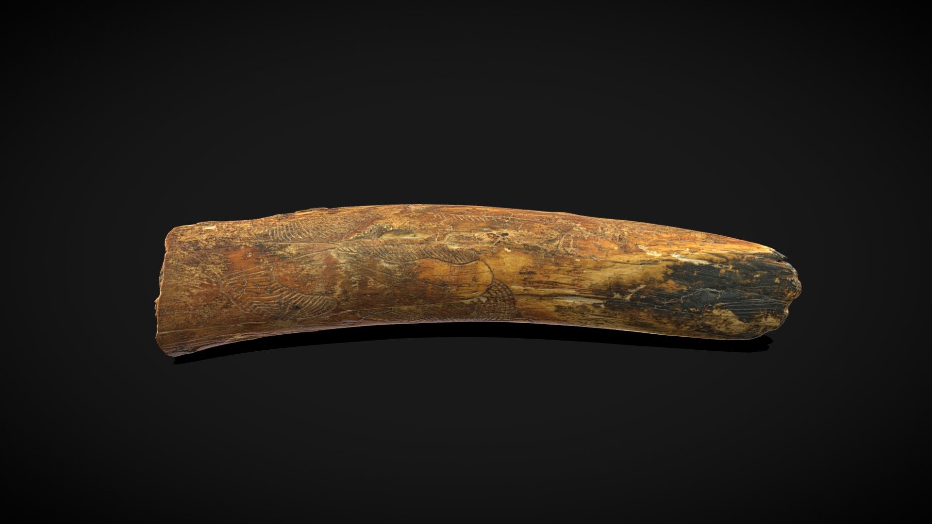 Ornamented mammoth ivory (Kyrylivska site) - 3D model by National ...