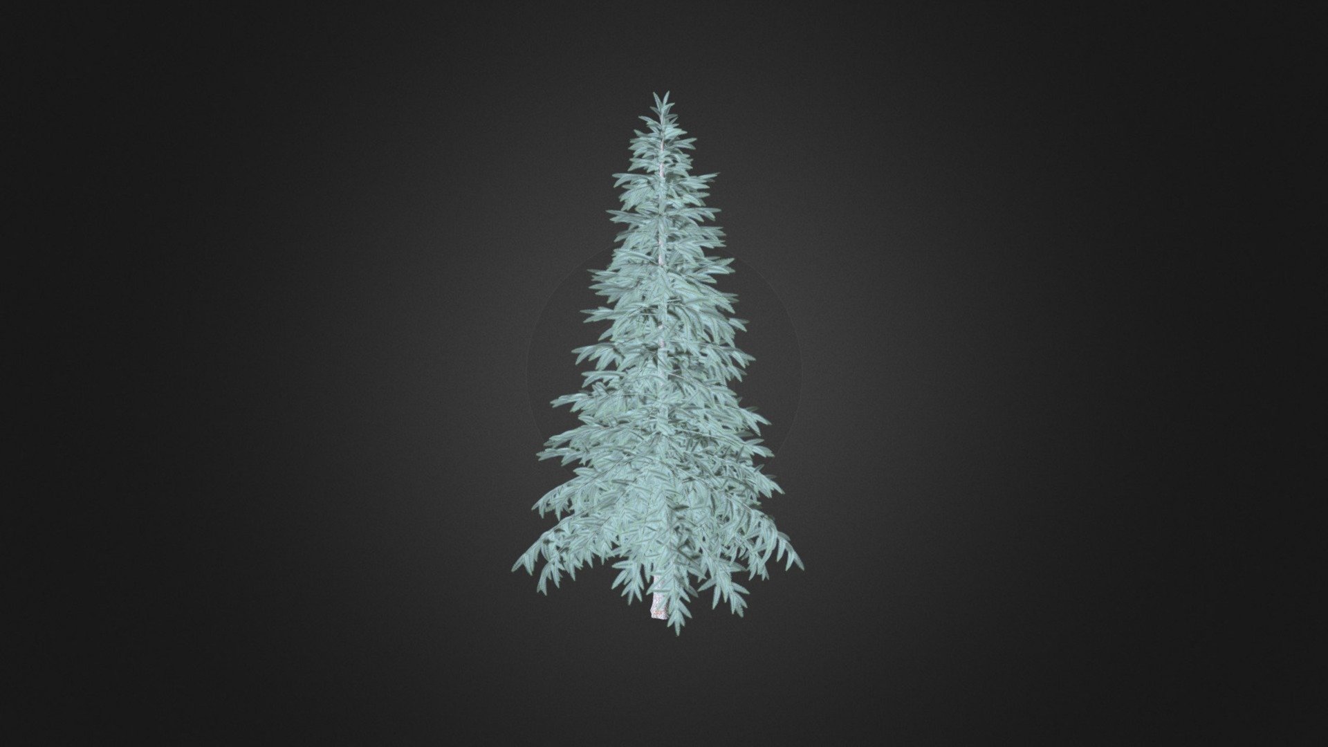 Spruce Tree 3D Model 4.4m - Buy Royalty Free 3D model by cgaxis ...