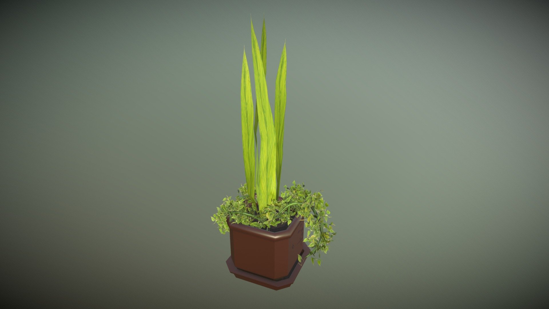 Plant - 3D model by cgrabbit [9d2b676] - Sketchfab