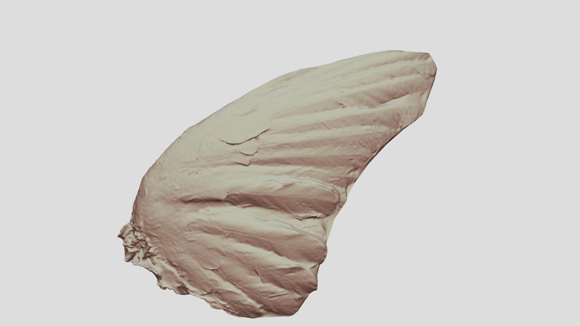 Half Wing STL - Download Free 3D model by scbenoit [9d2f856] - Sketchfab