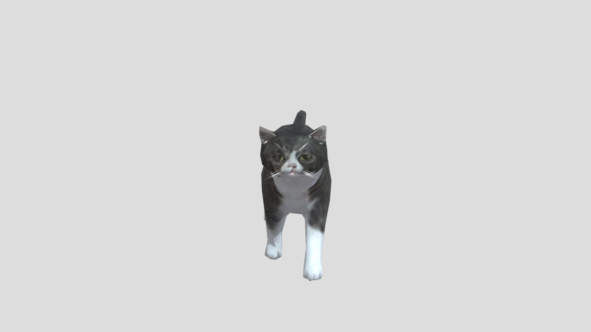 Cat low poly .obj [Game Ready] Animation 0/33 - Download Free 3D model ...