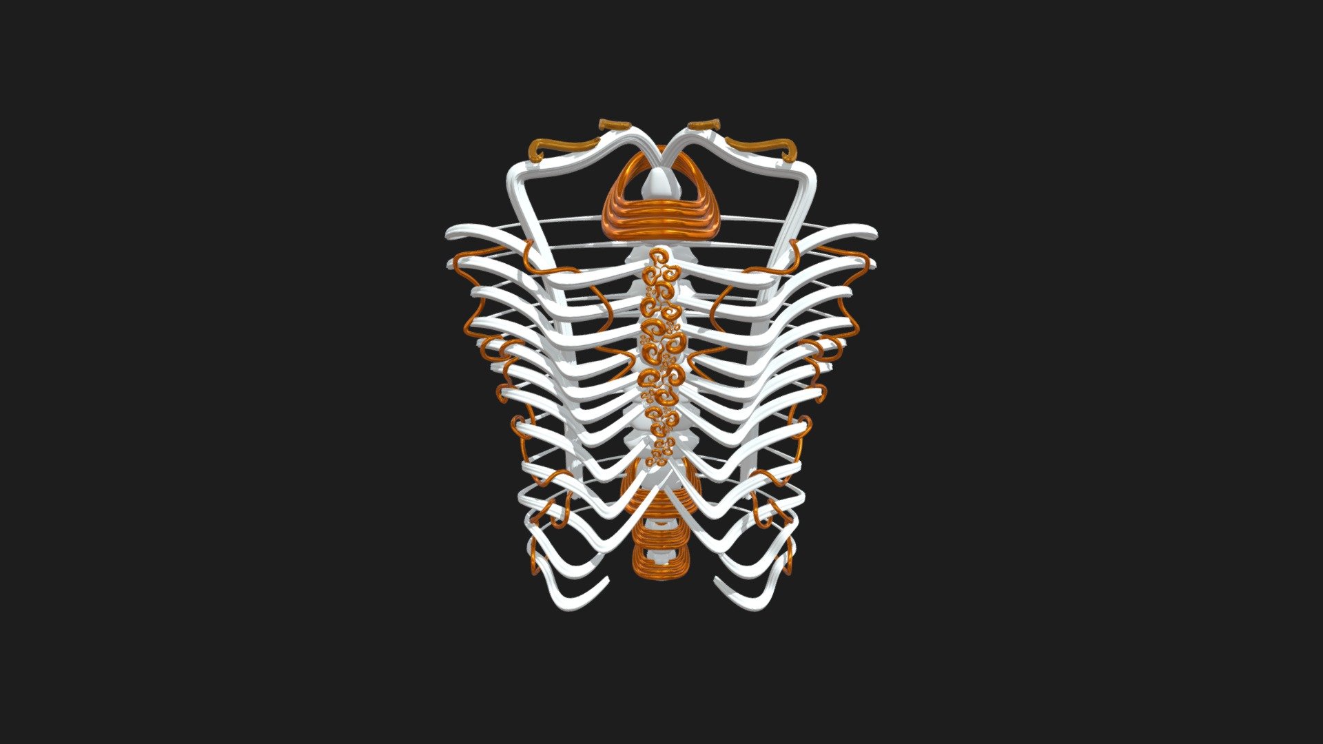 Holy Guardian Angel Golden Skeleton - 3D model by atheriusath [9d3bc64 ...