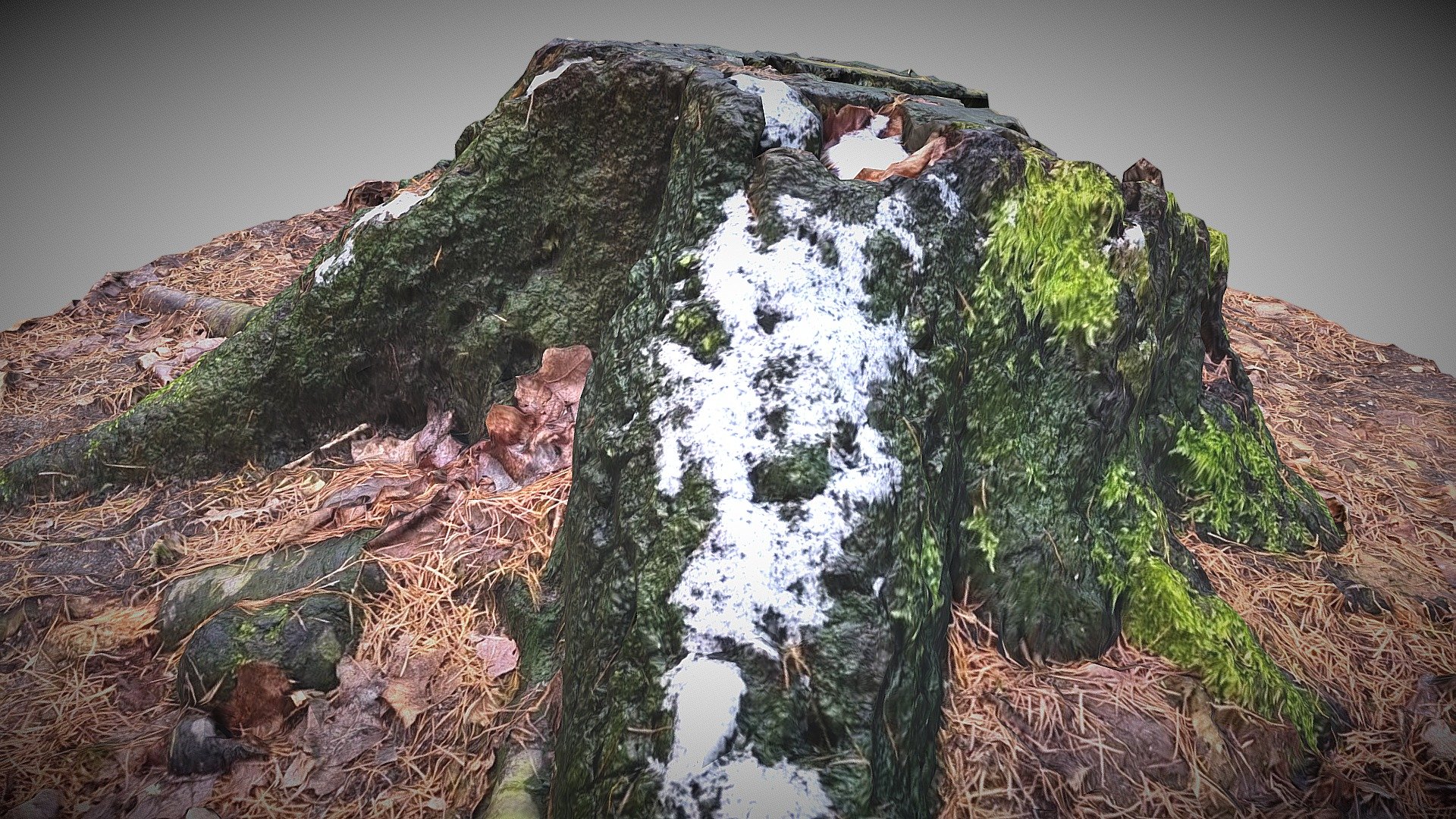 Tree stump with moss and snow - Download Free 3D model by DAVANO ...