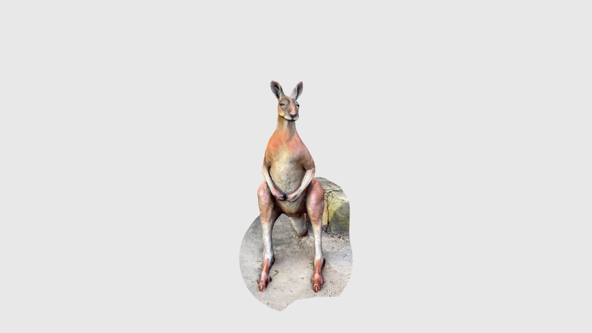 kangaroo - Download Free 3D model by isokushi [9d43bf3] - Sketchfab