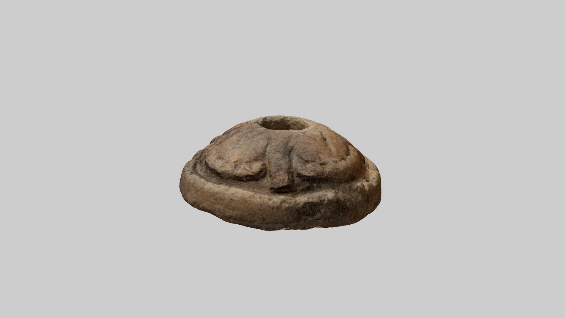 YPM ANT.135890 - Download Free 3D model by Yale Peabody Museum ...