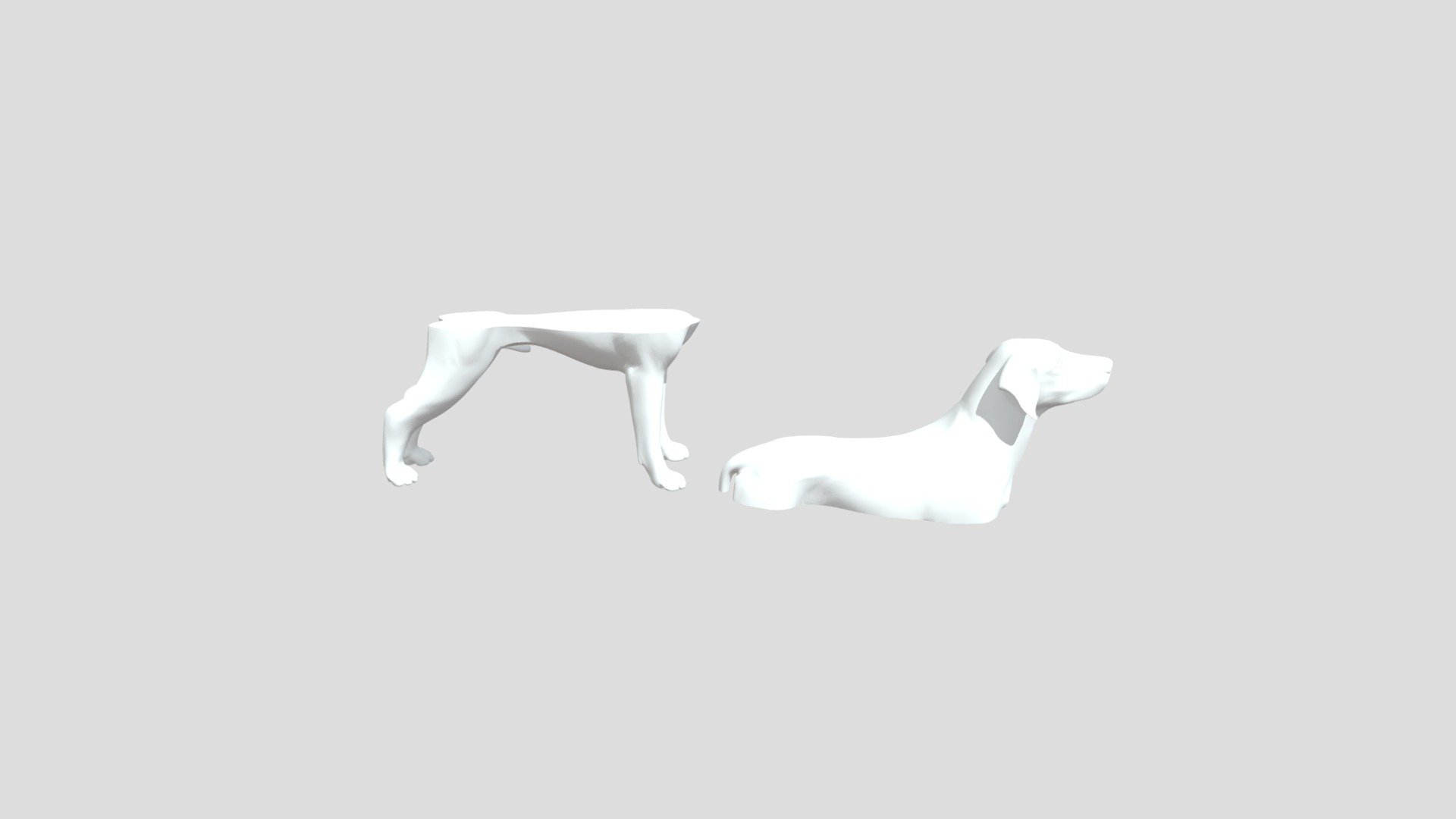 Dog Coronal Planes Demo - Download Free 3D model by UoN SVMS Centre of ...