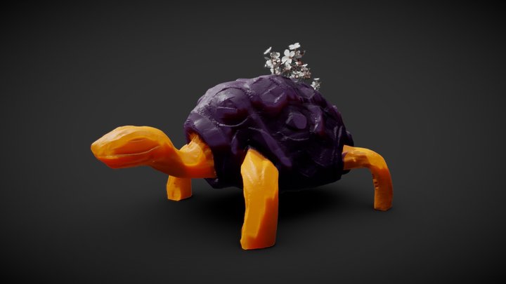 Tortoise 3D models - Sketchfab