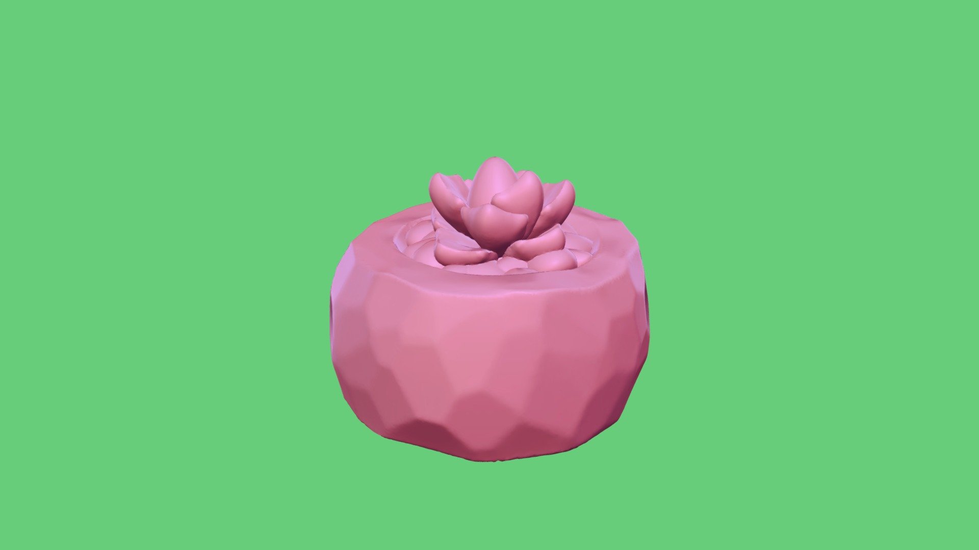 Potted Succulent - 3D model by Jendayi.Larios [9d4c3bd] - Sketchfab