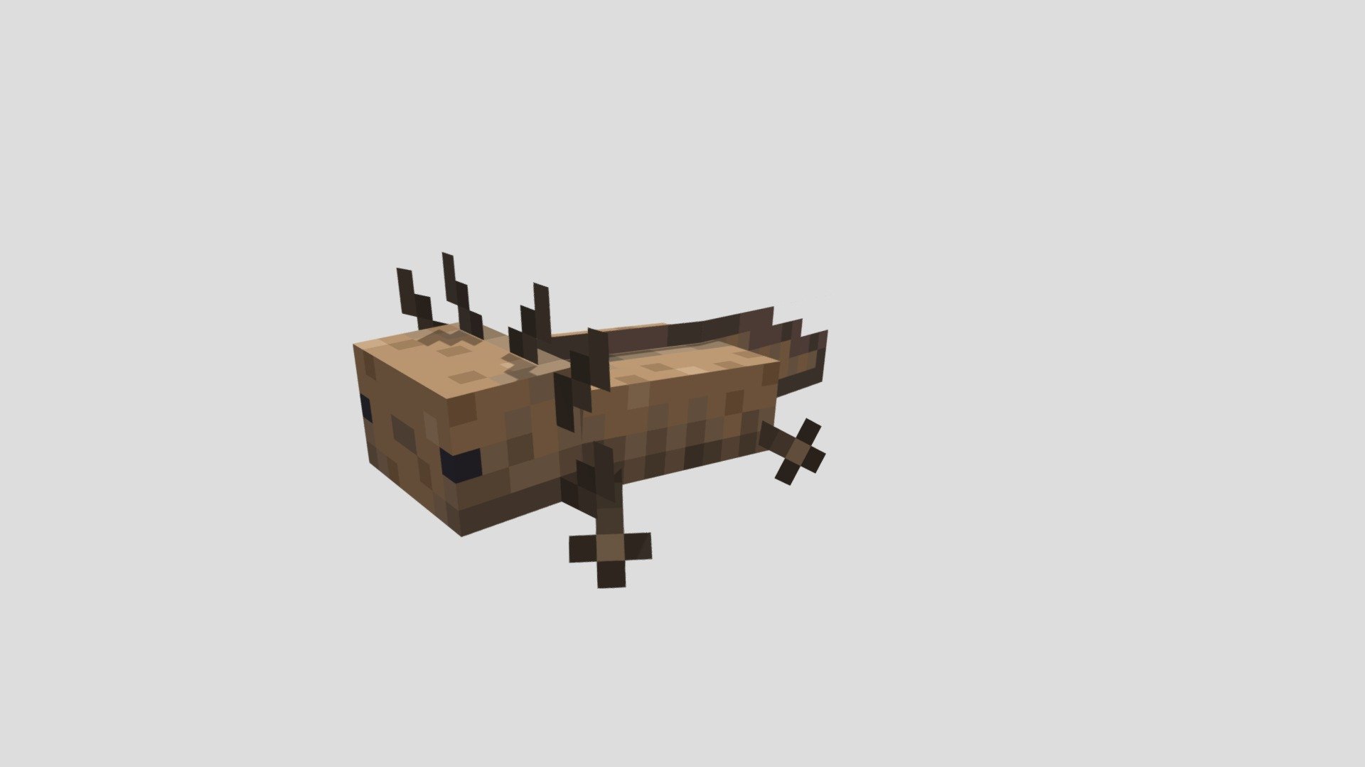 brown axolotl - Download Free 3D model by JohnElkes [9d4fd7c] - Sketchfab