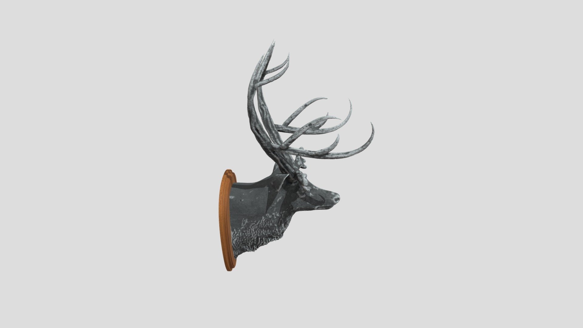 Decor - 3D model by denizgocmen [9d5396a] - Sketchfab
