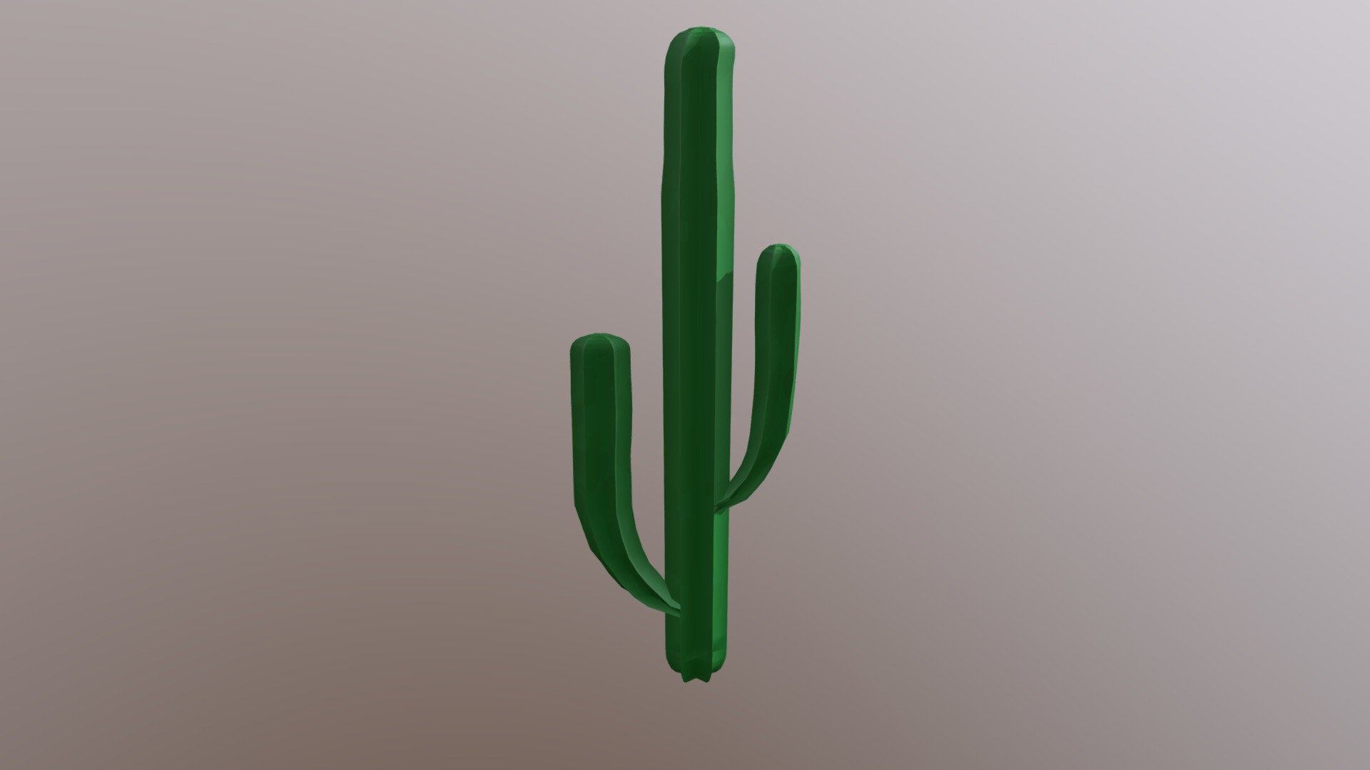 Cactus - 3D model by agirlhasnousername [9d5932f] - Sketchfab