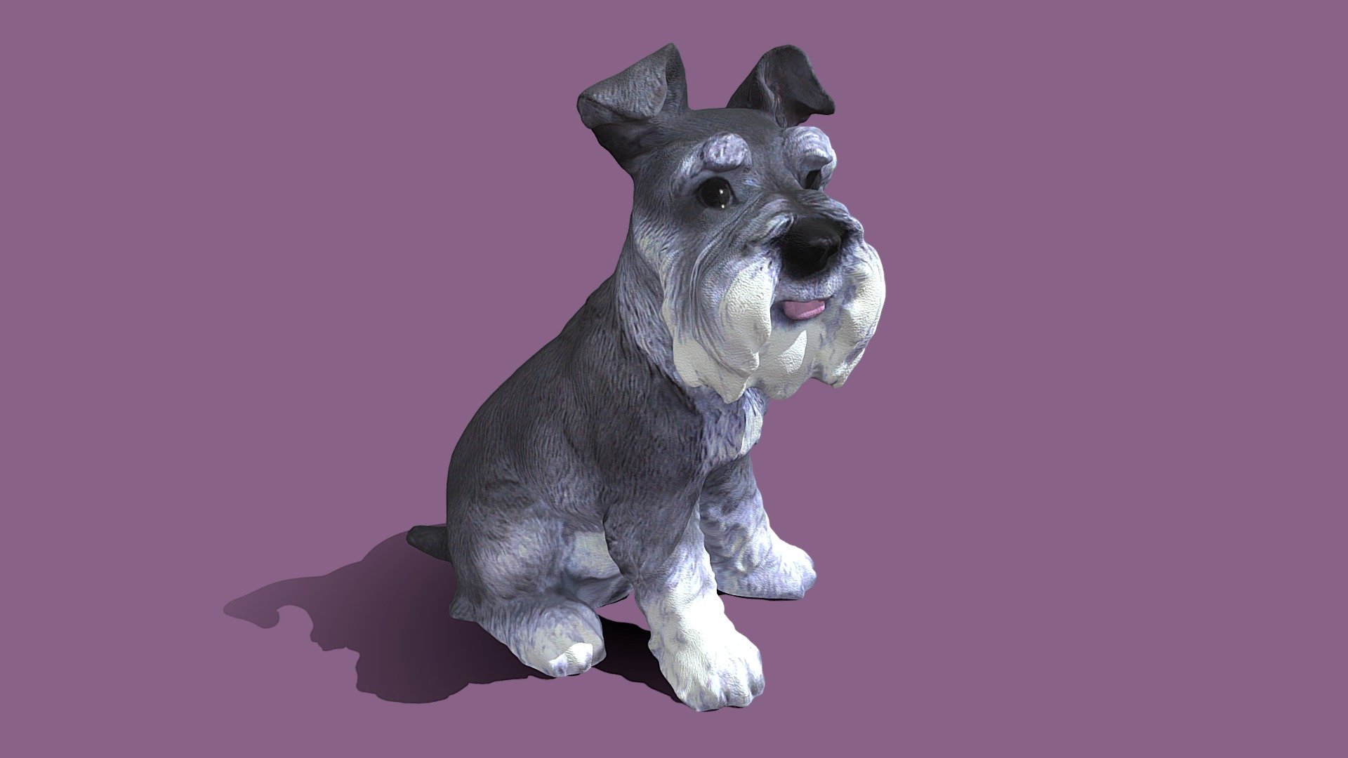 Miniature Schnauzer adult dog - 3D model by Lycortas [9d5eba6] - Sketchfab