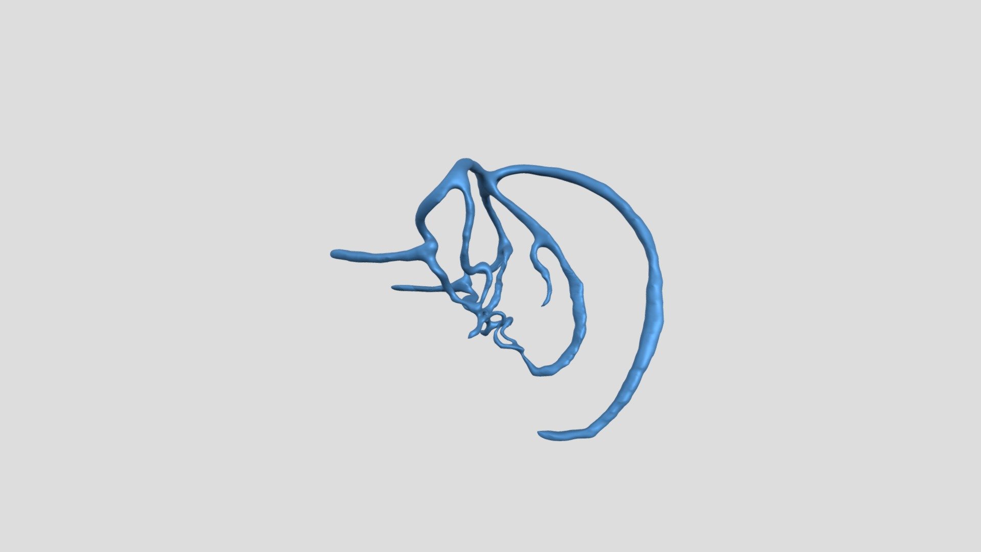 Venous System-2nd draft - 3D model by jamiecronin [9d627b9] - Sketchfab