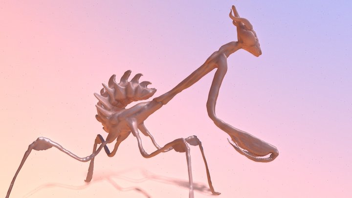 Mantidae 3D models - Sketchfab
