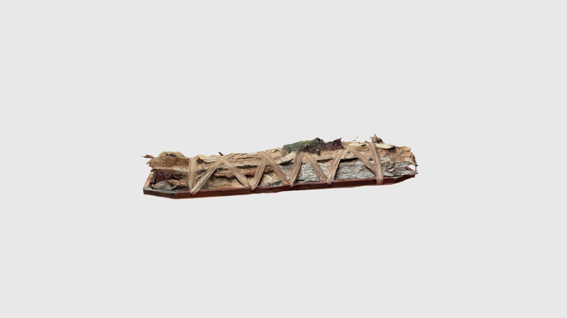 Paperbark Pod 2 - Download Free 3D model by arvr [9d7817b] - Sketchfab