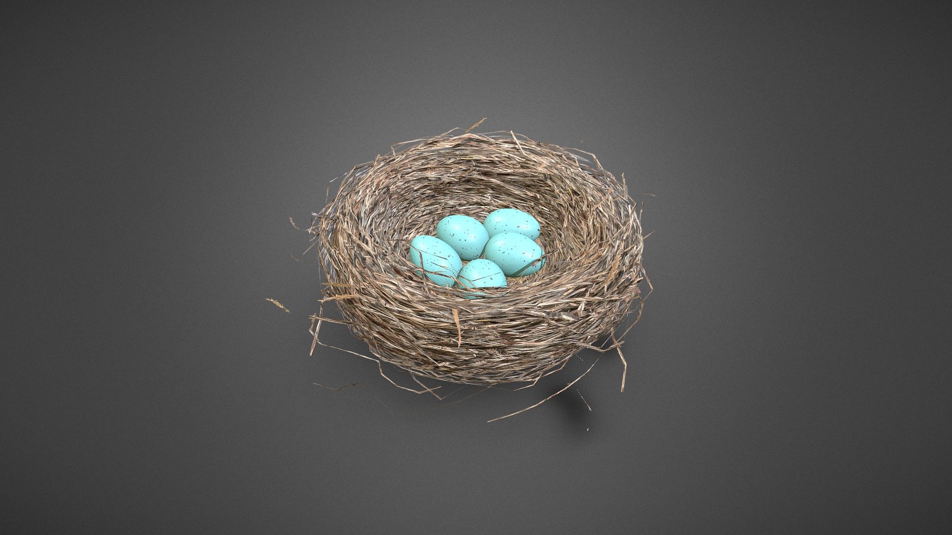 Bird's Nest - Buy Royalty Free 3D model by Karina (@KarynaTrychyk ...