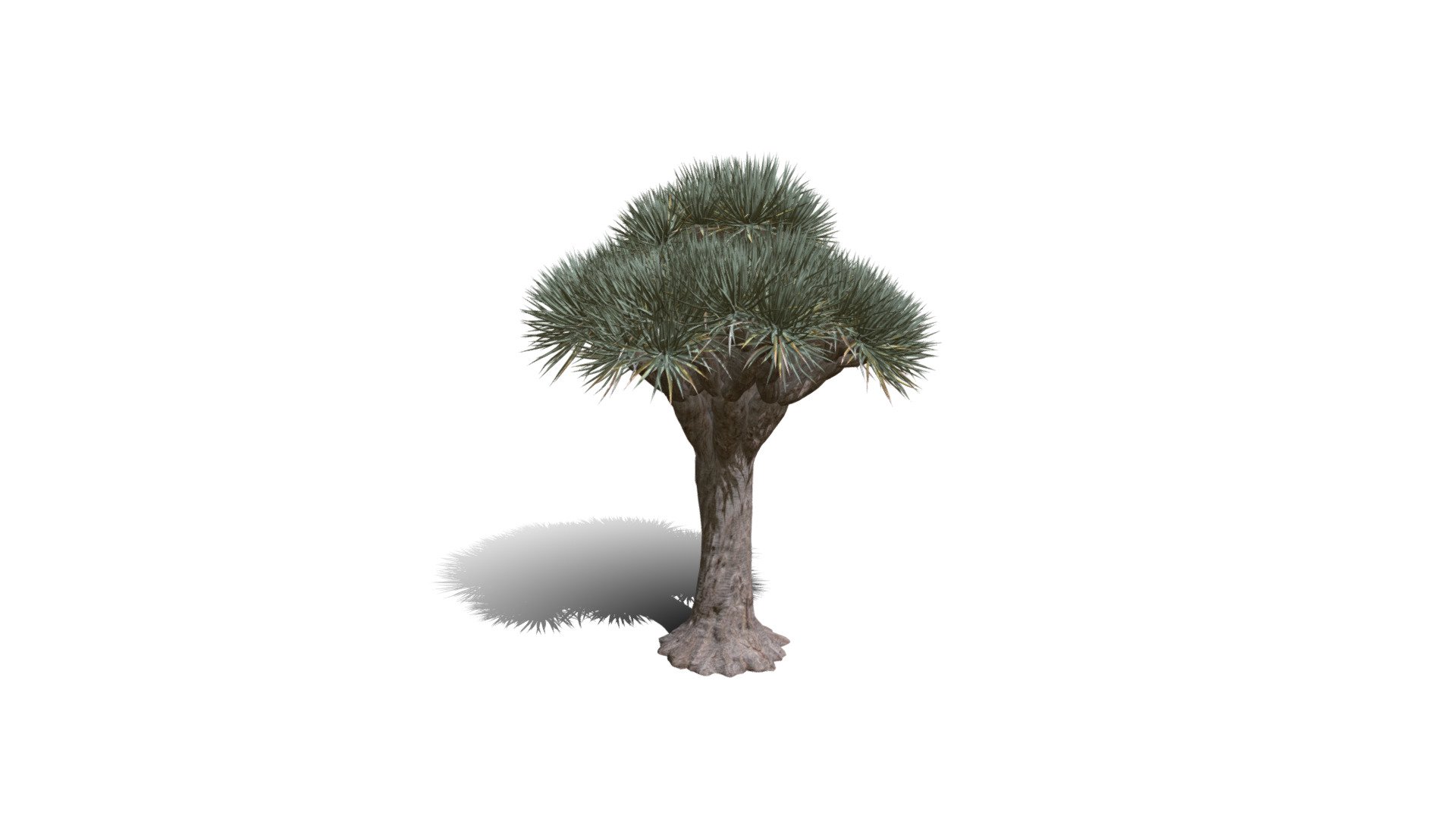 Realistic HD Dragon tree (39/50) - Download Free 3D model by ...