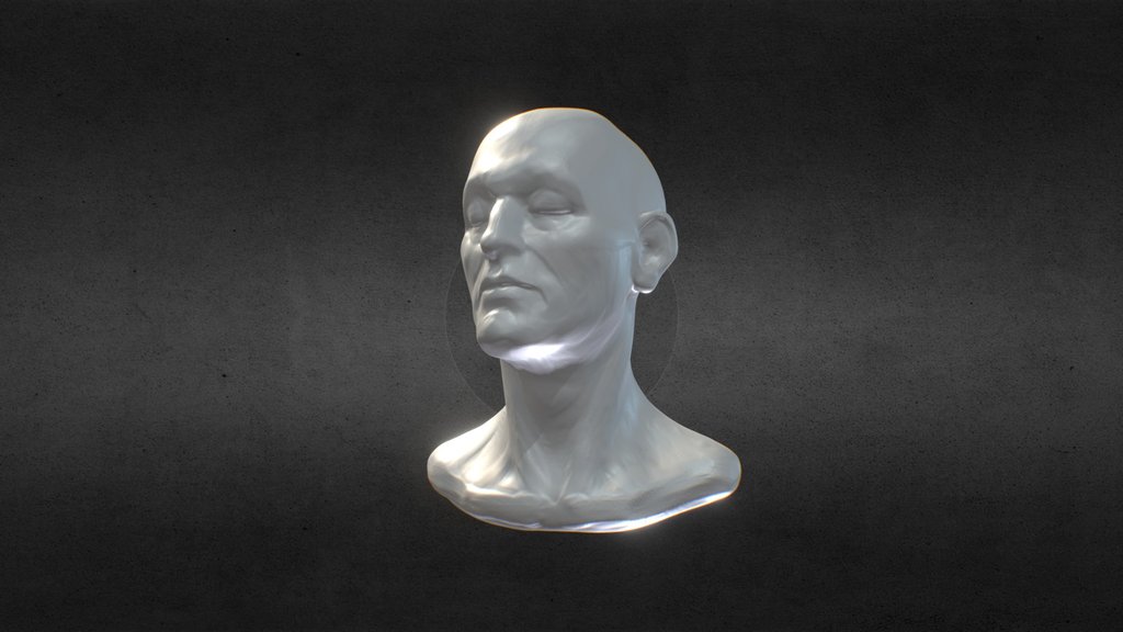 human head - A 3D model collection by TallTreeTall - Sketchfab