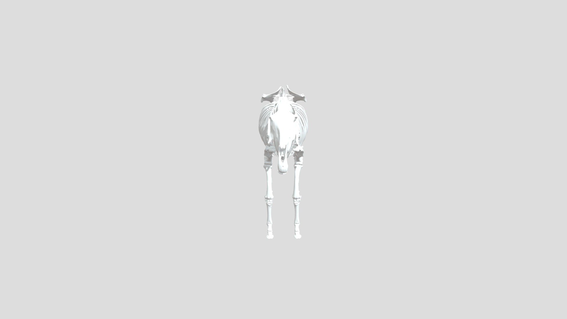 Mule Skeleton Merged Low - Download Free 3D model by Guilherme.Leonel ...