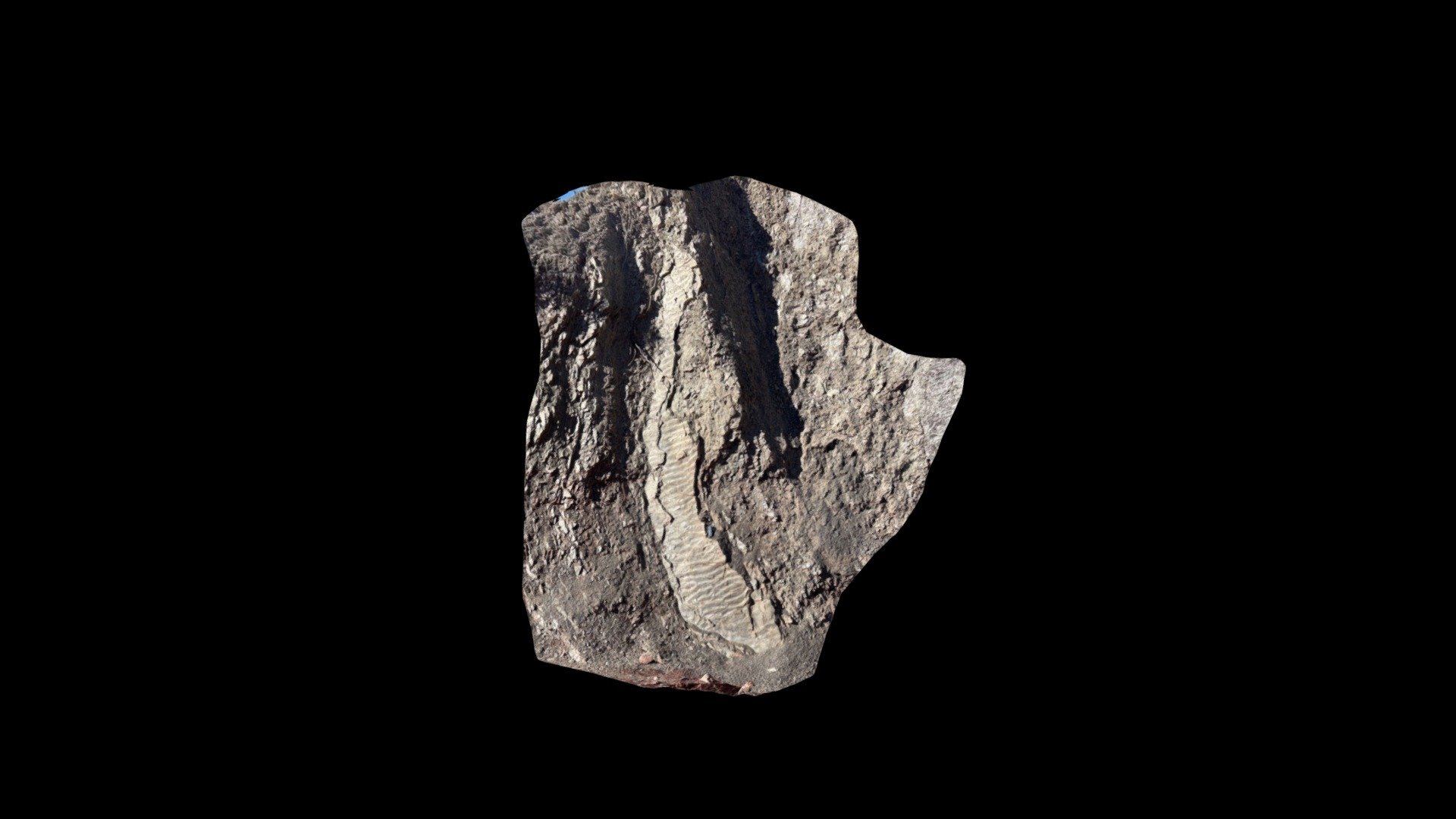 Ripple marks - Download Free 3D model by Shimer3DGEO [9da5692] - Sketchfab