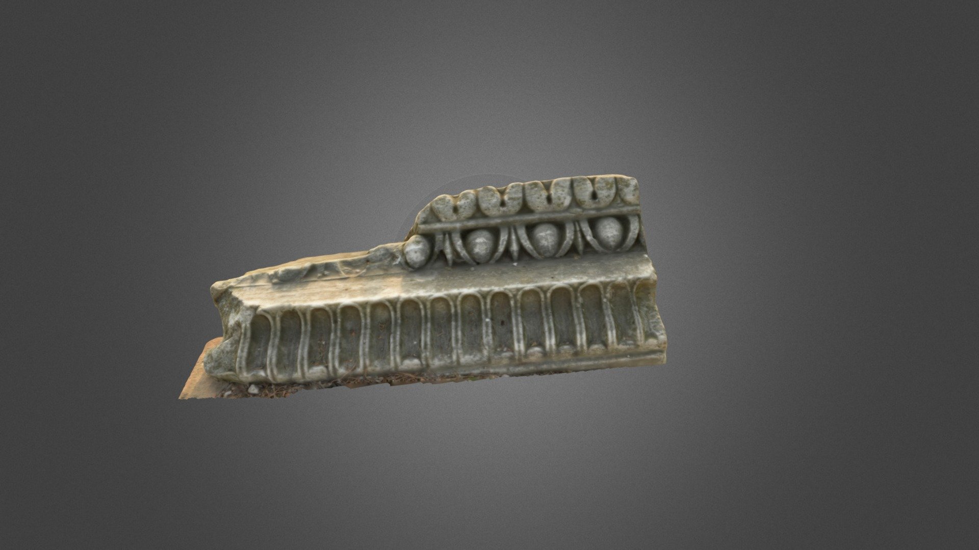 Aquileja spolium 5.zip - 3D model by jan.zachar [9db2525] - Sketchfab