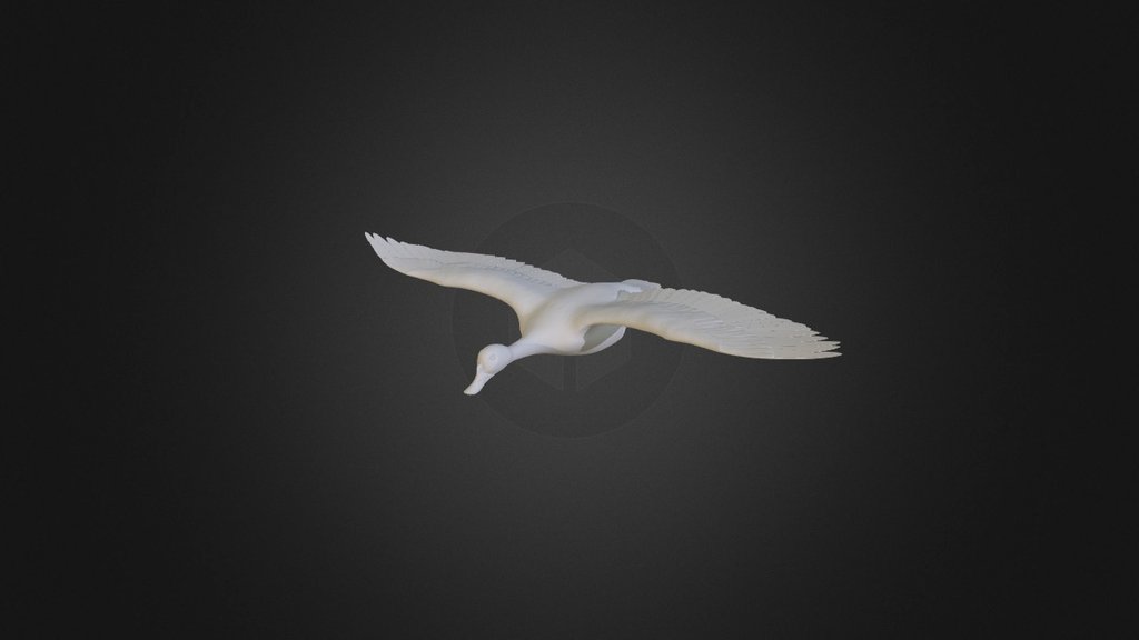 Shelduck Pose B Bumped 01 - 3D model by create_studio (@create ...
