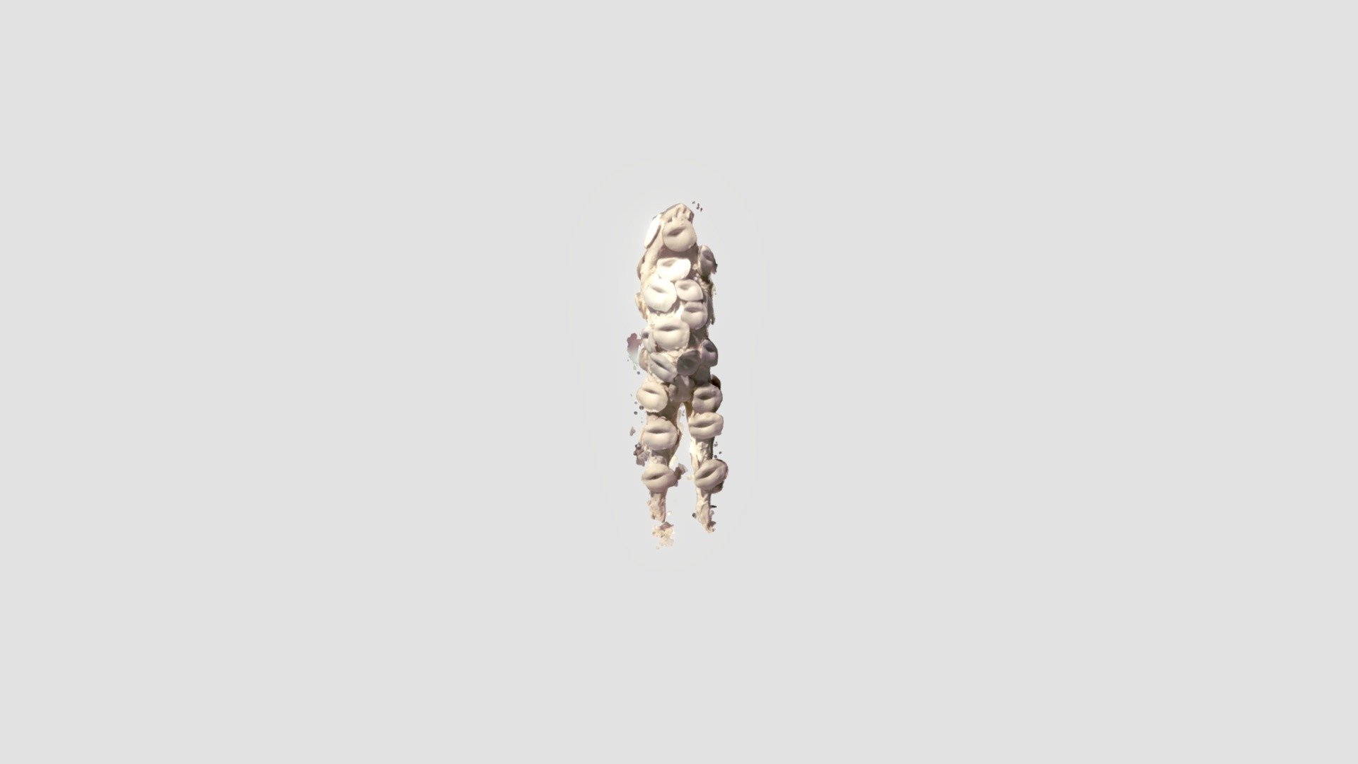 belly button - 3D model by shaniamcdonagh1 [9db888a] - Sketchfab