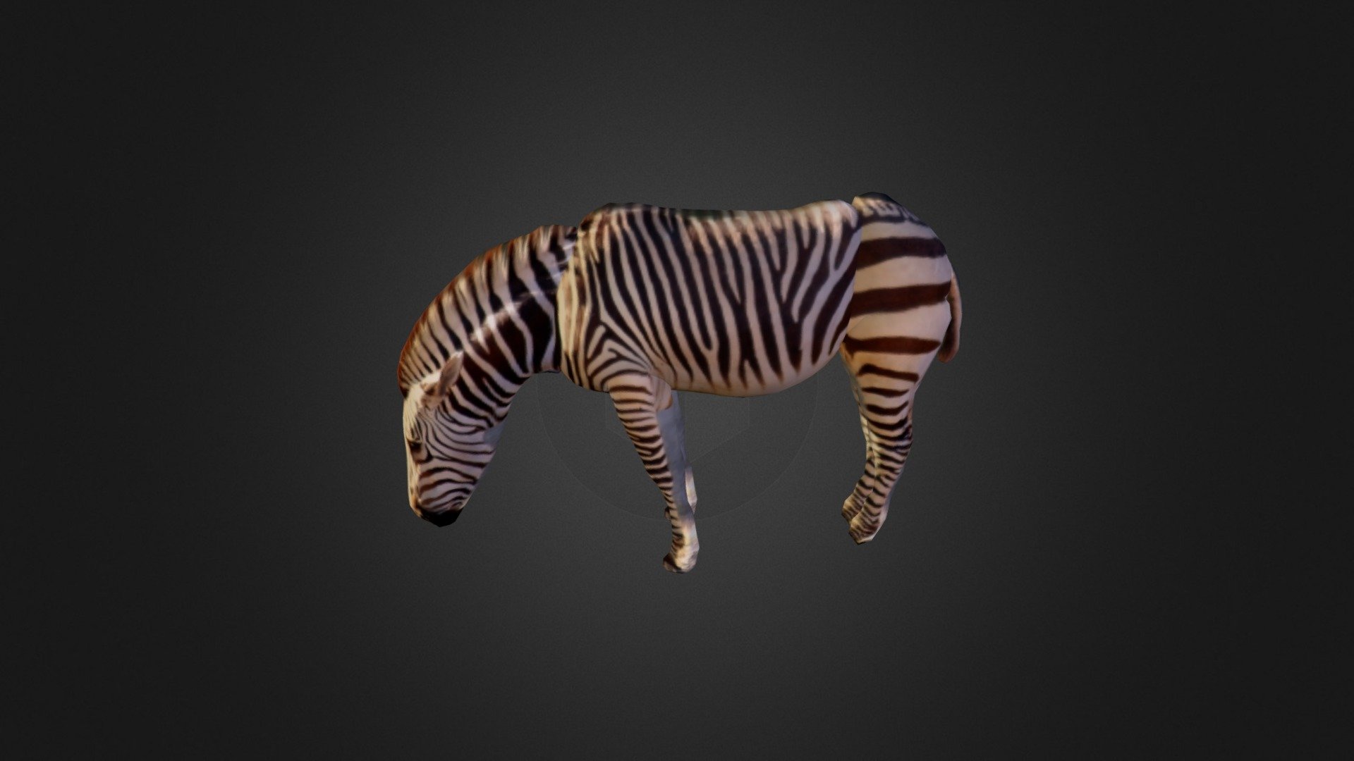 Awesome Zebra - 3D model by Bart (@bartv) [9db89b7] - Sketchfab