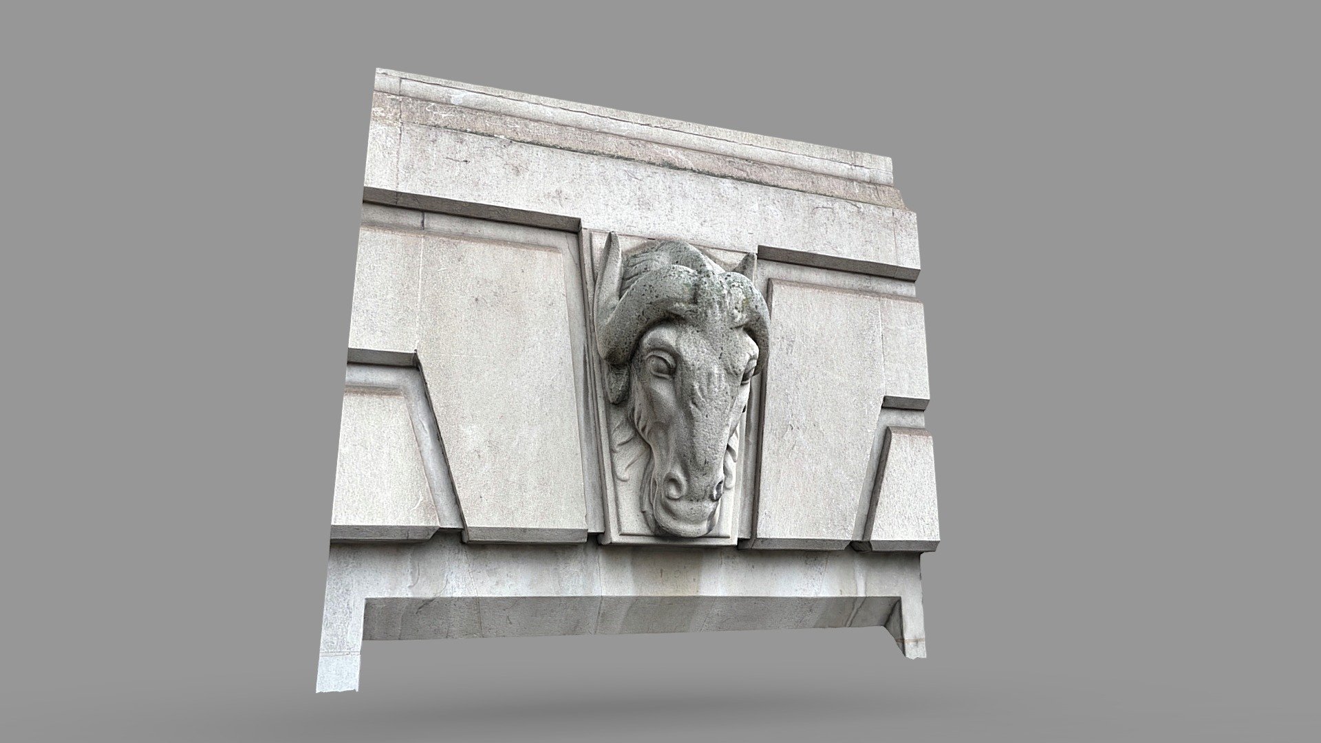 South Africa House Bison - Polycam - Download Free 3D model by Thomas ...
