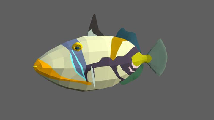 Picasso-triggerfish 3D models - Sketchfab