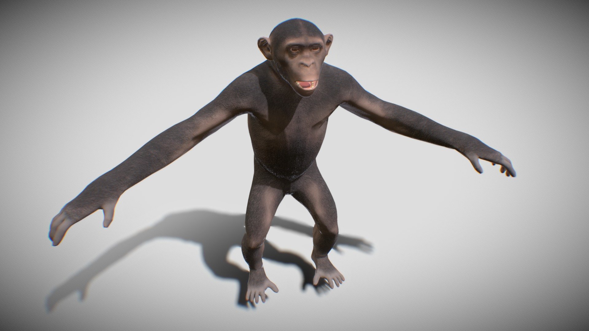 Chimpanzee - Buy Royalty Free 3D model by Mixall (@Mixaills) [9dc1107 ...