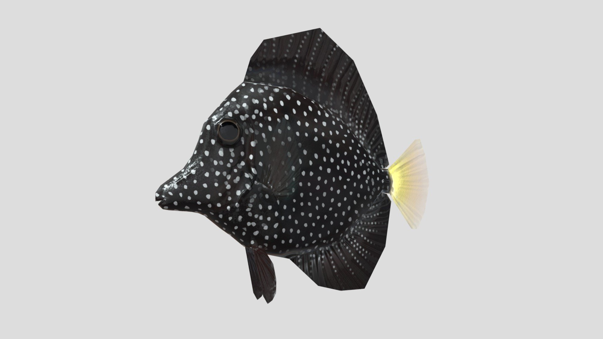 Gem tang - 3D model by Major (@majorgalah) [9dc9bea] - Sketchfab