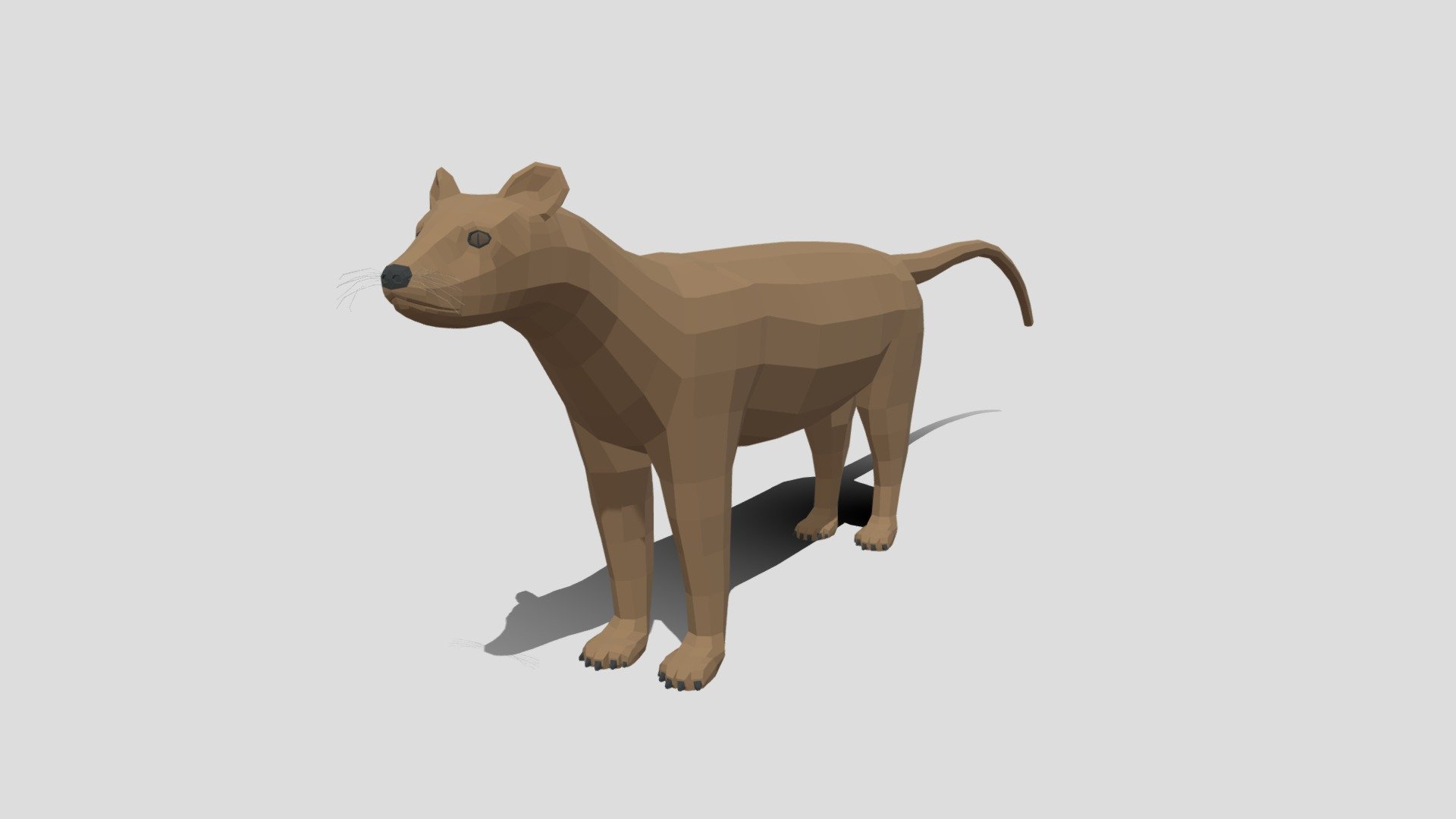 Low Poly Cartoon Fossa - Buy Royalty Free 3D model by chroma3d ...