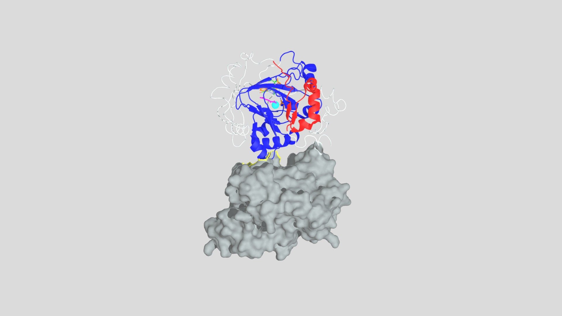 JMJD2A: Trimethyl Lysine Histone Demethylase - 3D model by anly3224 ...
