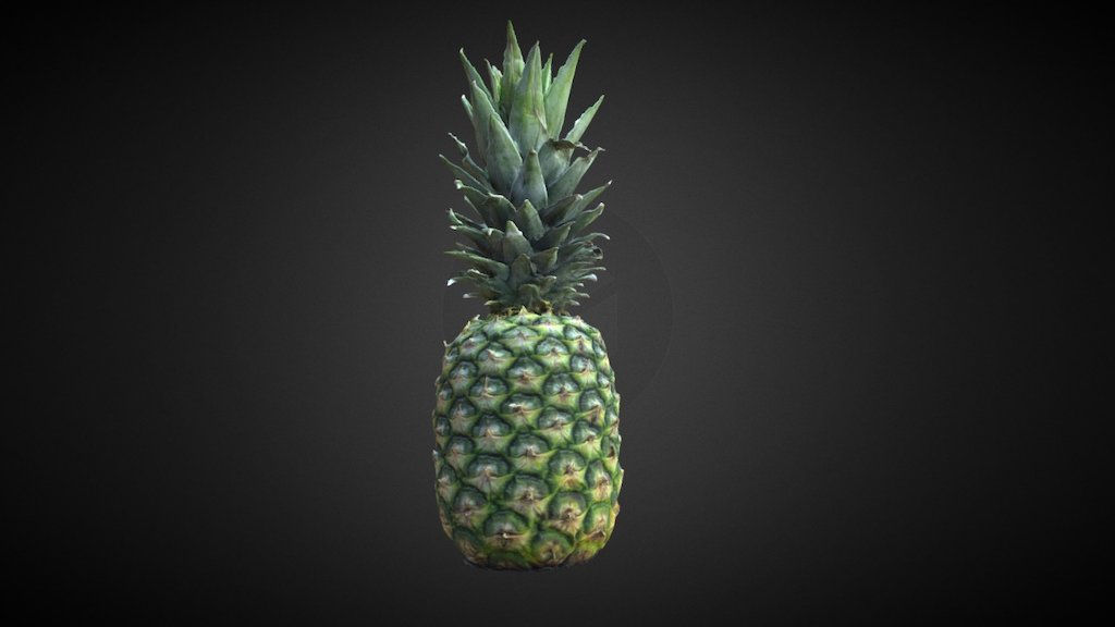 Ananas Photogrammetry - 3D model by scanways.io [9de7630] - Sketchfab