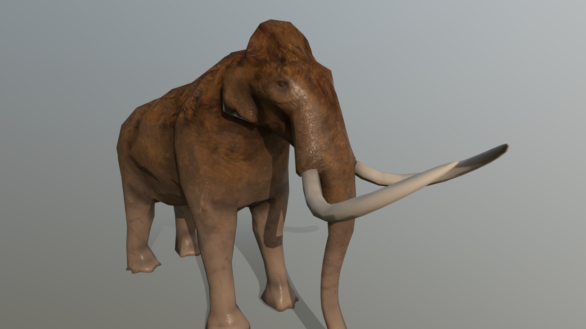 Southern mammoth (Mammuthus meridionalis) - 3D model by Paleobiome ...