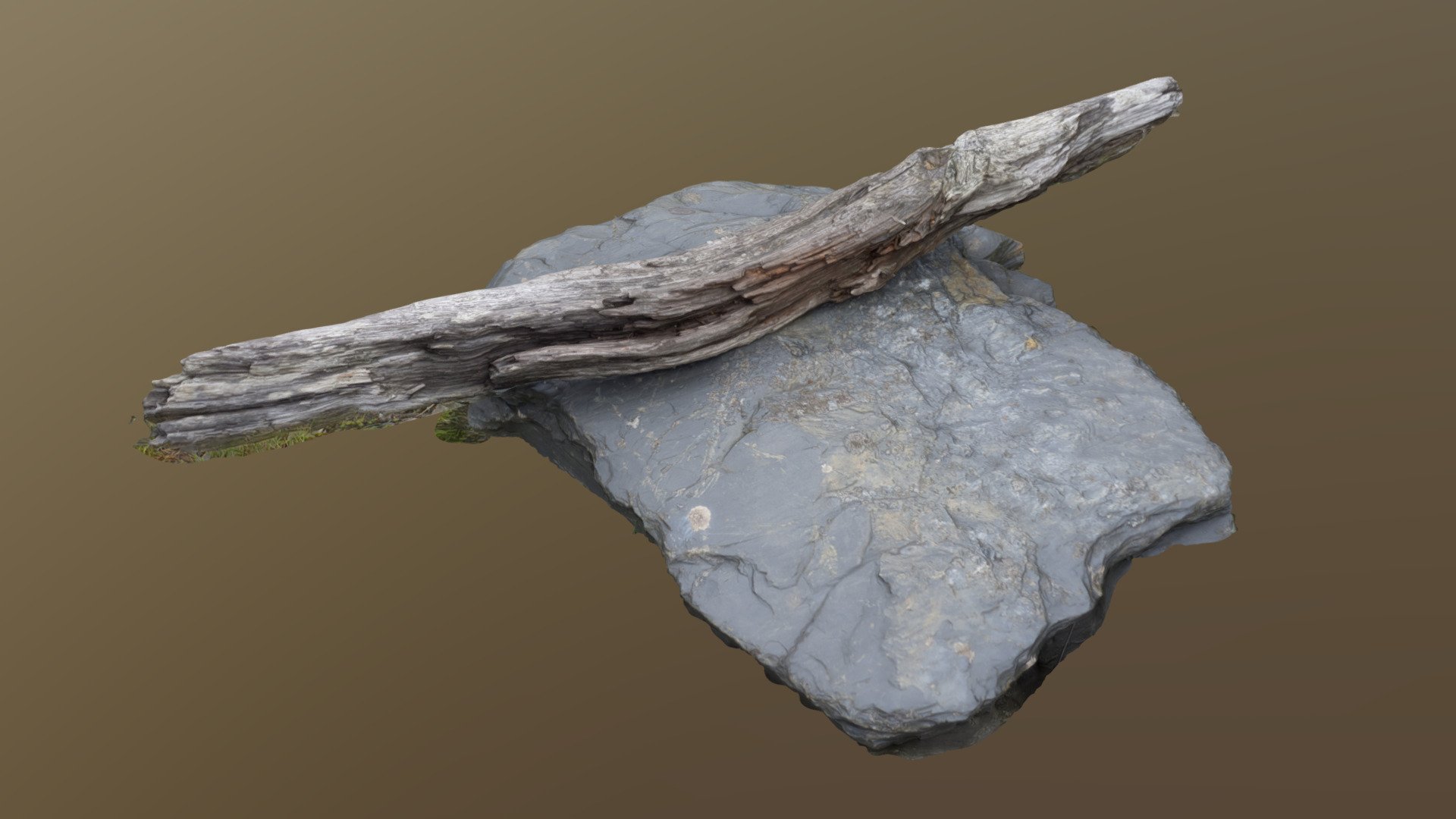 Quarry Wood Scan - Download Free 3D model by CommonSpence [9deaa21 ...