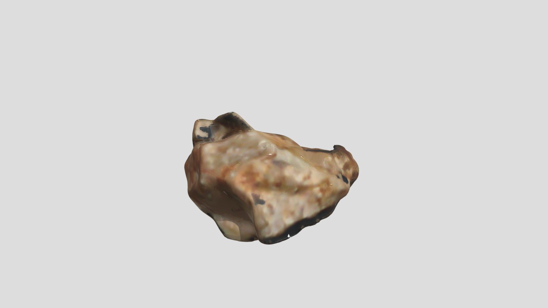 Monophyllites simoni - 3D model by rin209 [9deaad8] - Sketchfab