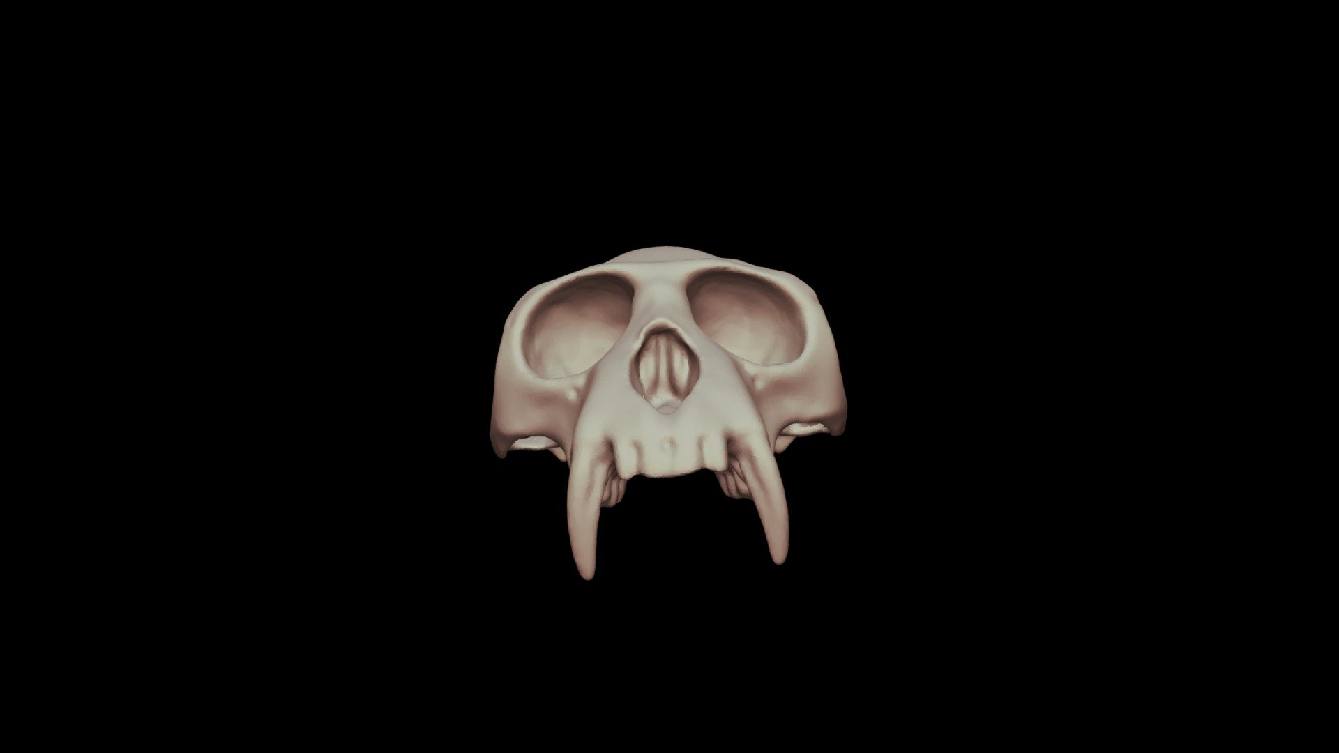 Colobus Top - Download Free 3D model by upeshnepal1 [9deaf7b] - Sketchfab