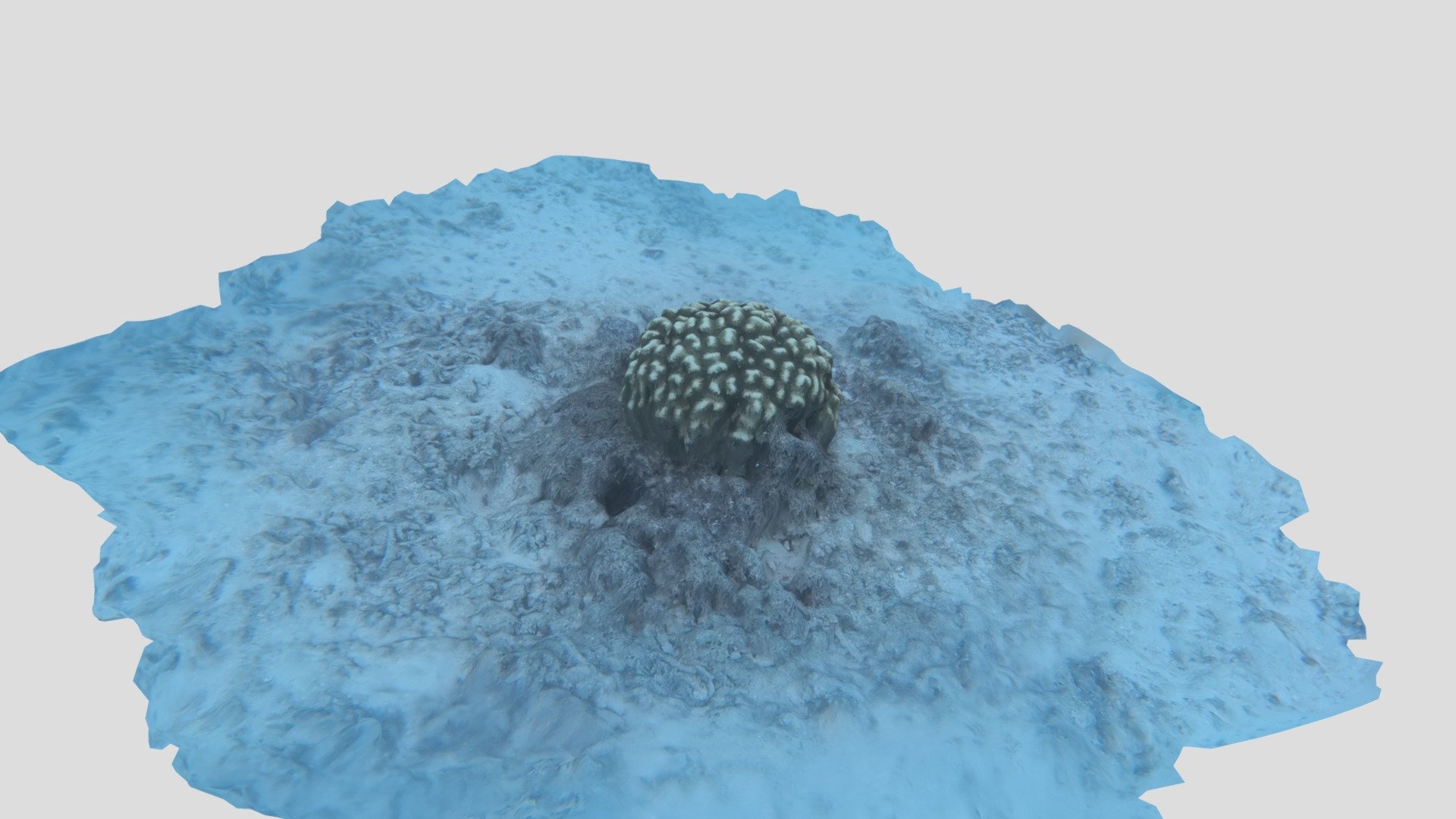 001_ Bridget-Maldives - 3D model by GeoVires Lab (@GeoViresLab ...