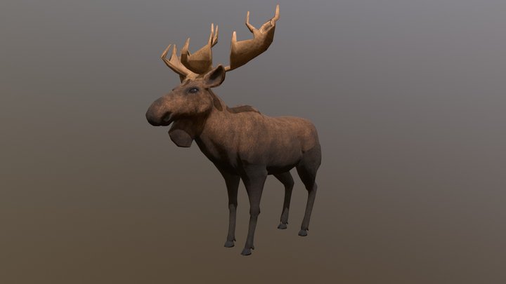 Alce 3D models - Sketchfab
