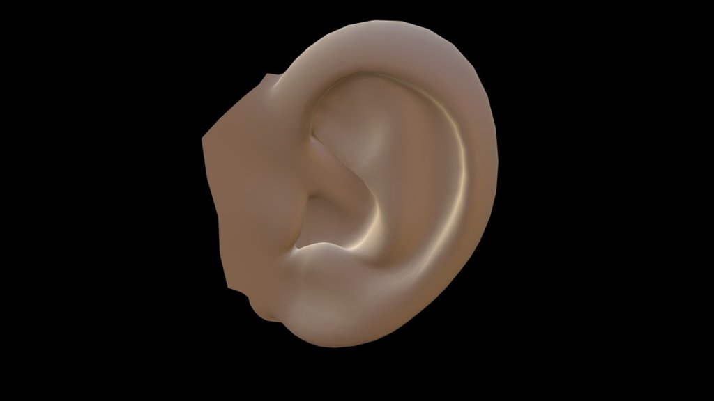 Ear - Download Free 3D model by farhad.Guli [9dfbb19] - Sketchfab
