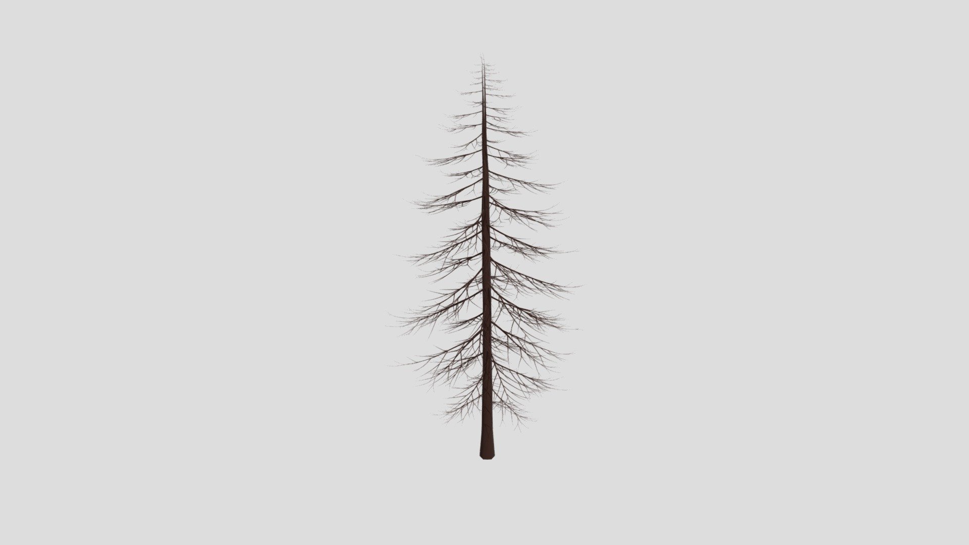 Pine tree - Download Free 3D model by EmreAlkan (@Lknmr) [9e0f34c ...