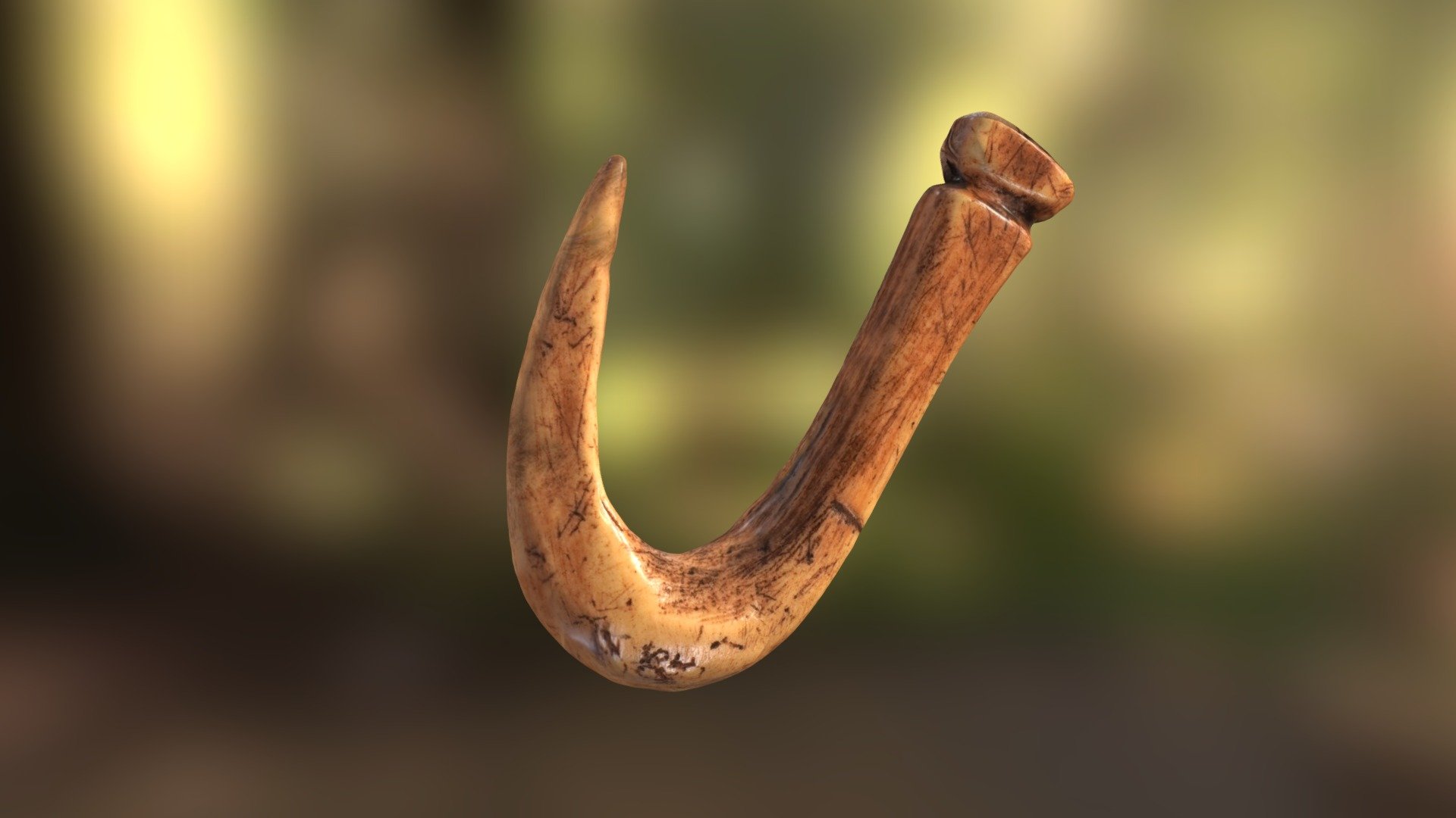 Bone Fish Hook - 3D model by Waring Archaeology (@waringlab) [9e17b56 ...